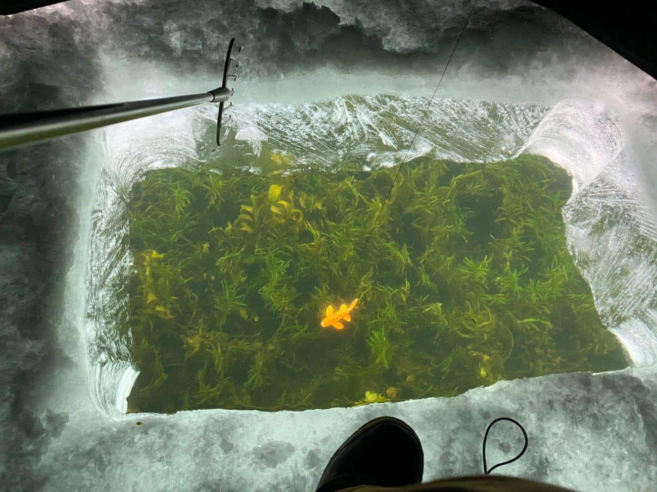 Darkhouse Spearing - Beginner's Perspective