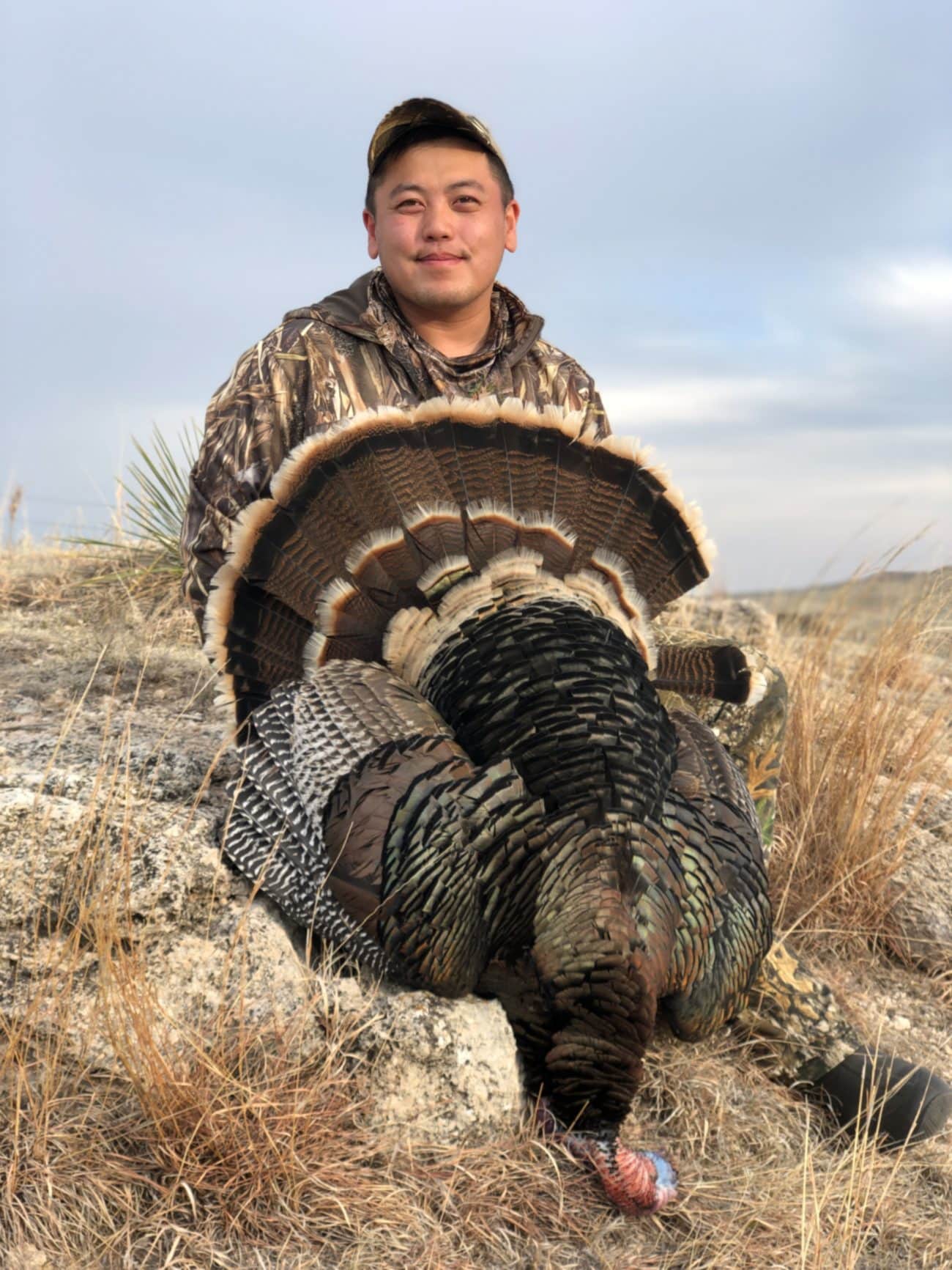 Scouting for Turkeys